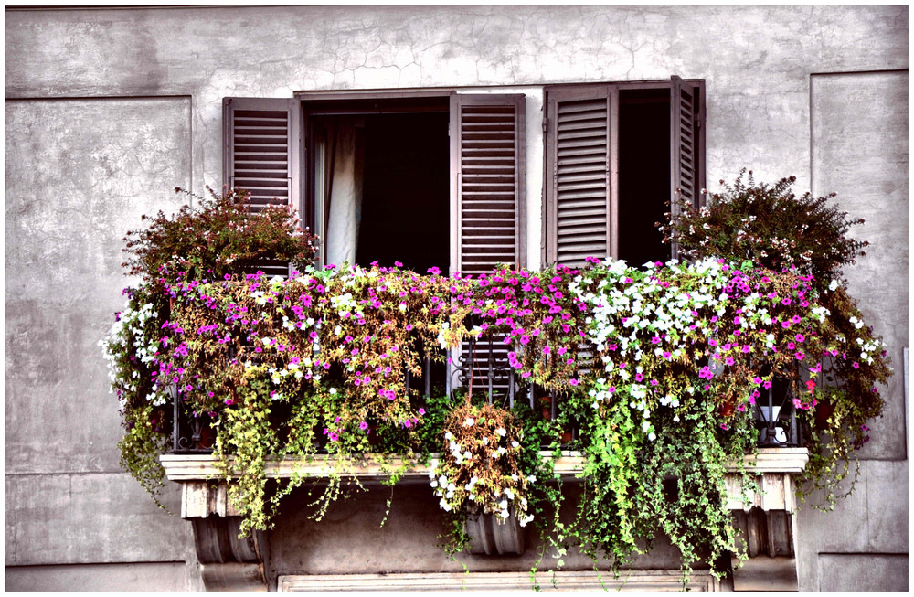 ¡DECOREMOS LAS TERRAZAS Y BALCONES! | Hablando con flores